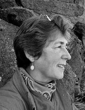 Susan Cummins Miller - Pandemic Aubade, Sonoran Desert